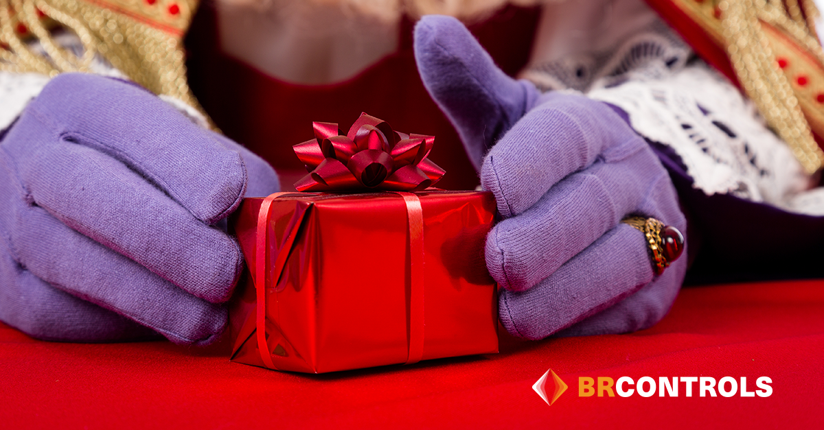 Hoog bezoek op ons kantoor afgelopen weekend. | BRControls